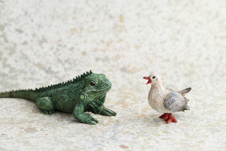 はしもとみお巡回展 「いきものたちの物語」 – 文喫 福岡天神 | BUNKITSU TENJIN | 本と出会うための本屋。